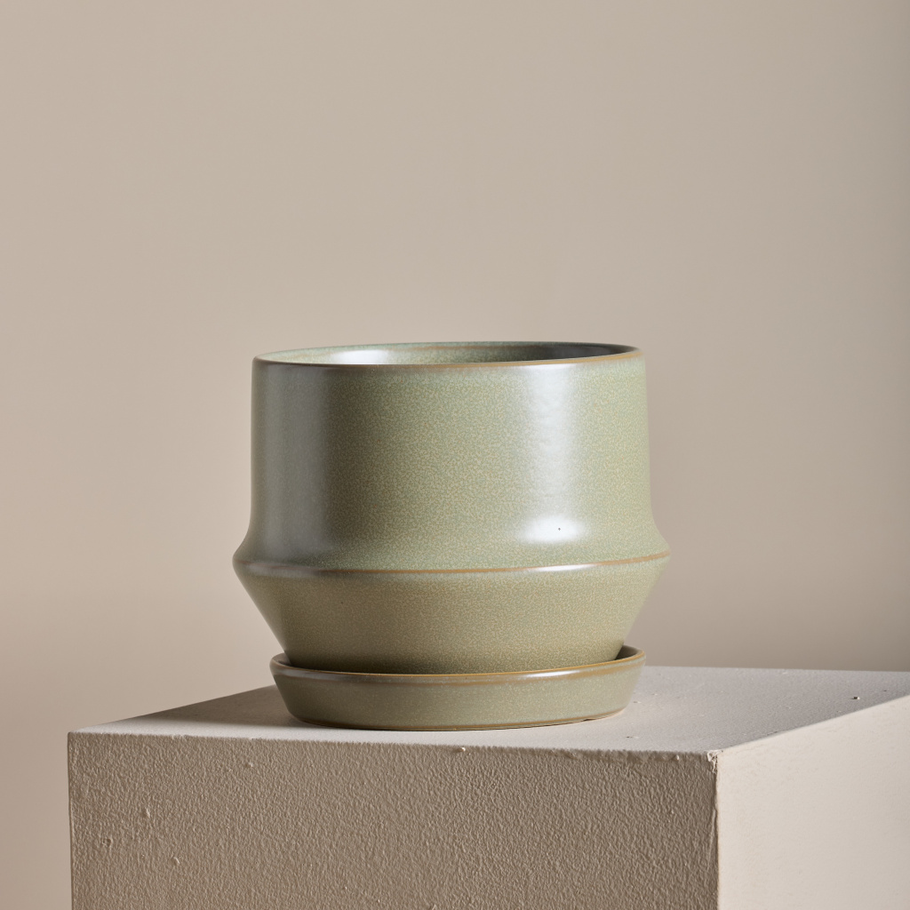 Indoor pot Jent - Mint | The Palm Centre