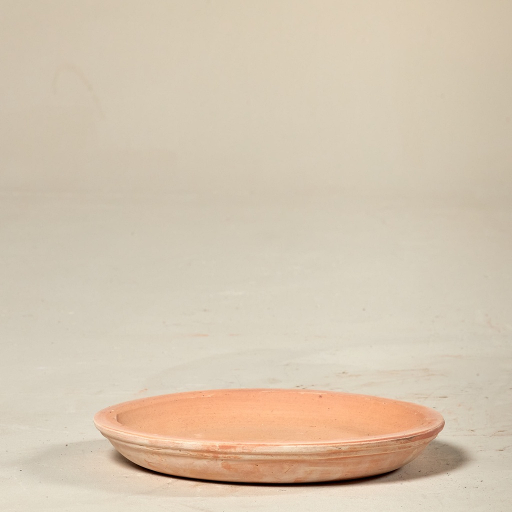 Saucer | The Palm Centre